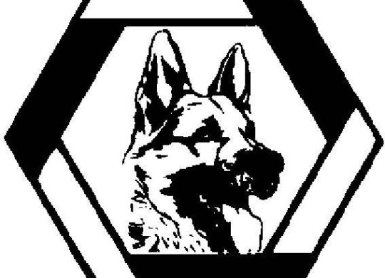 Archives des Services - Page 2 sur 4 - Orthez La Citadine